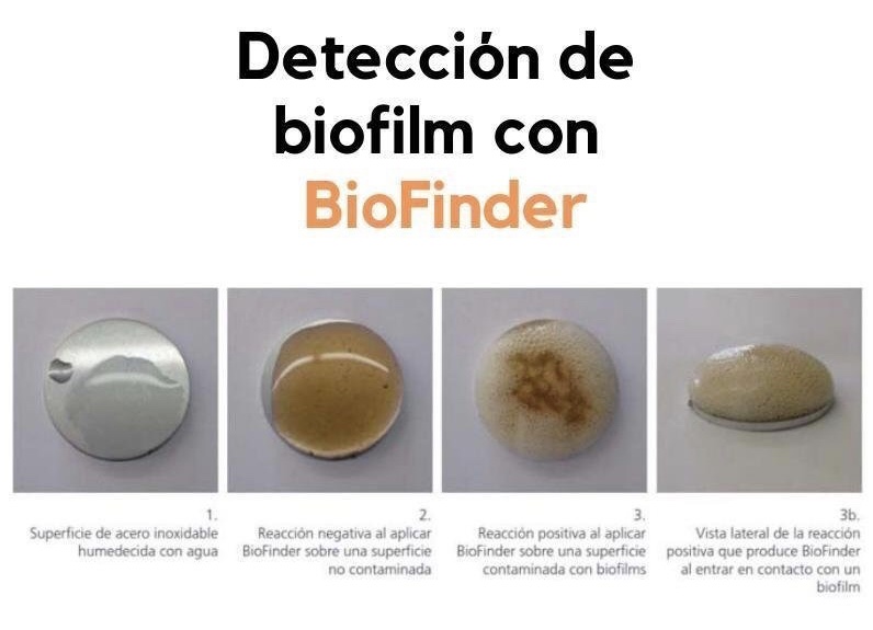 BIOFINDER – CK Orlix, S.A. de C.V.